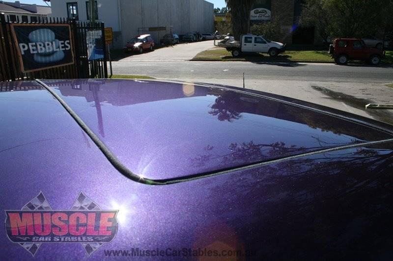 Wild Violet XY GT Falcon with Windback!