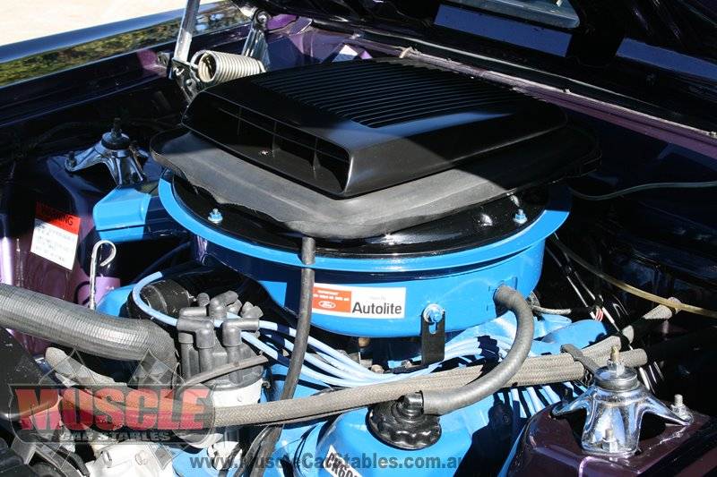 Wild Violet XY GT Falcon with Windback!